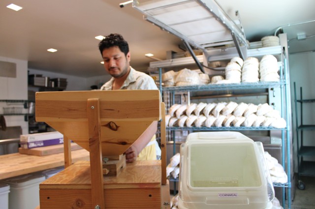 Mucho Gusto | Natural History Museum