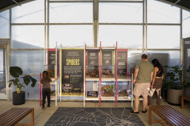 Spider Pavilion | Natural History Museum