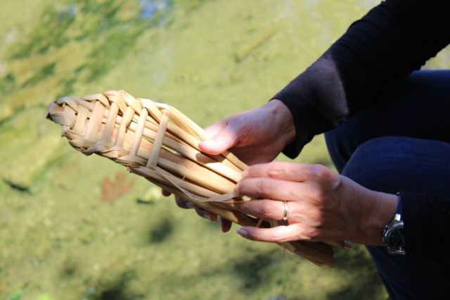 Tule and Its Many Gifts | Natural History Museum