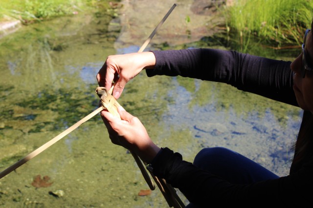 Tule and Its Many Gifts | Natural History Museum