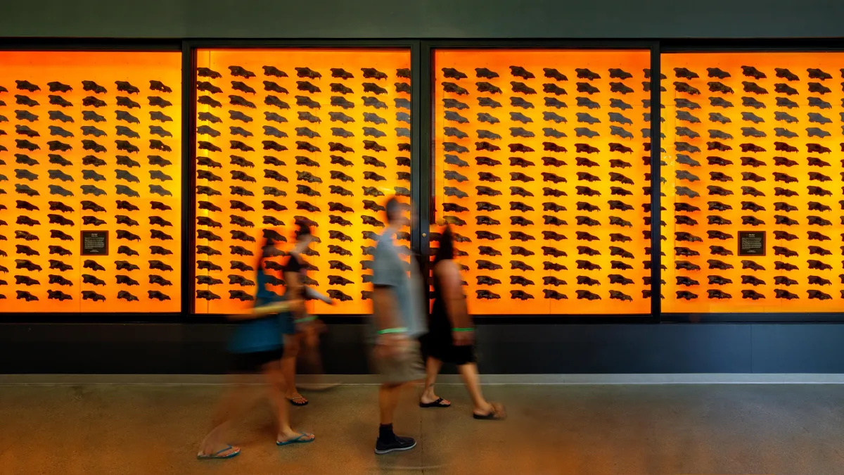 Dire Wolves | Natural History Museum