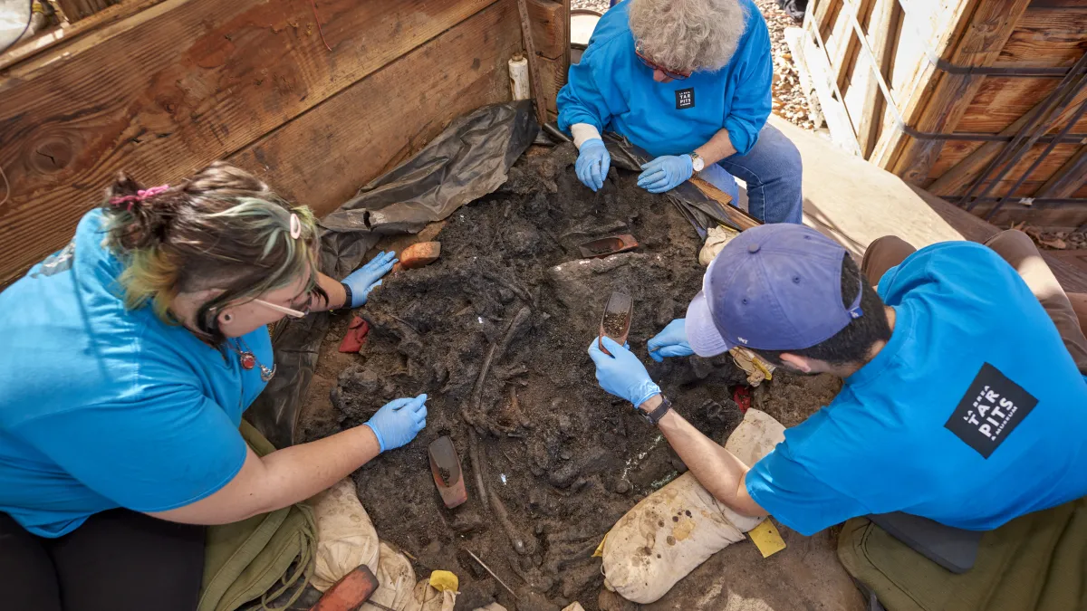 Ice Age Word Search | Natural History Museum