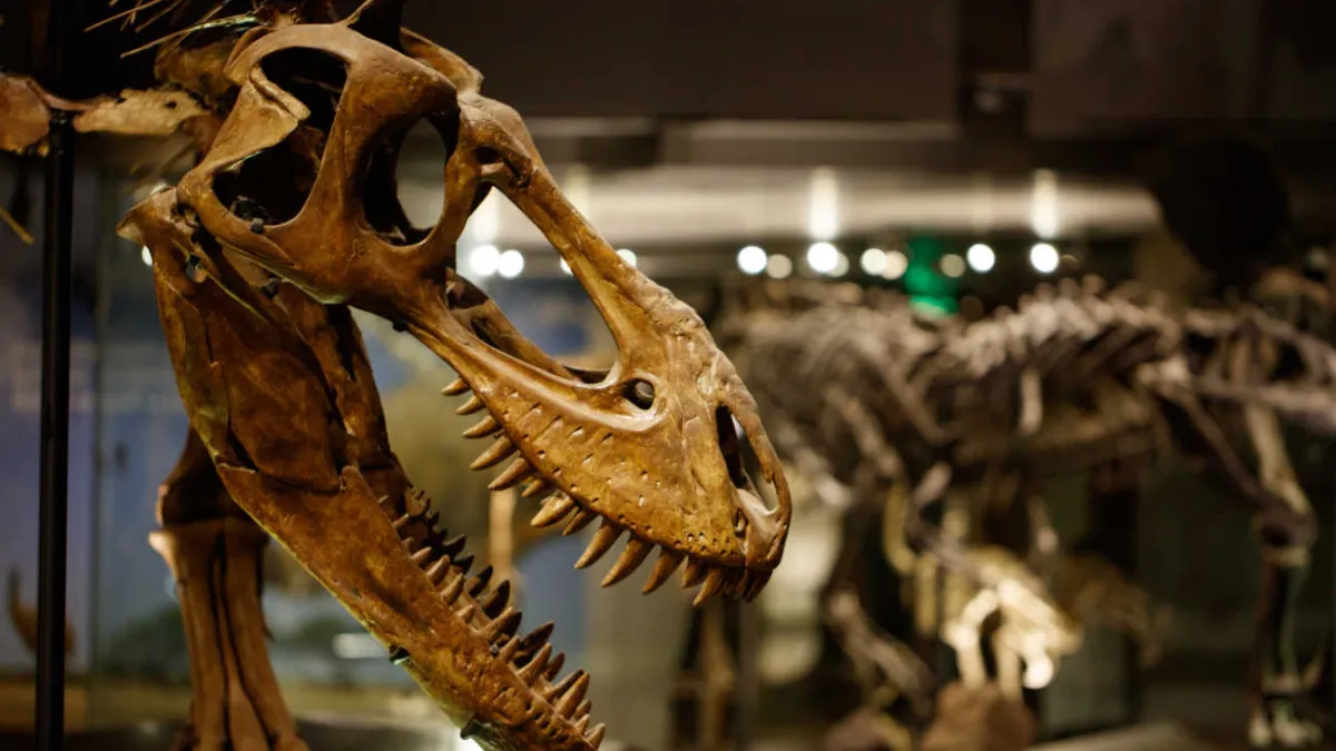 How to Grow a T. rex | Natural History Museum