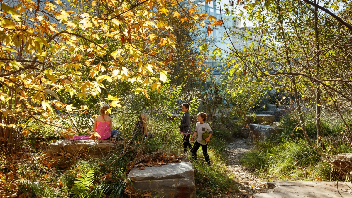 Take a Nature Walk | Natural History Museum