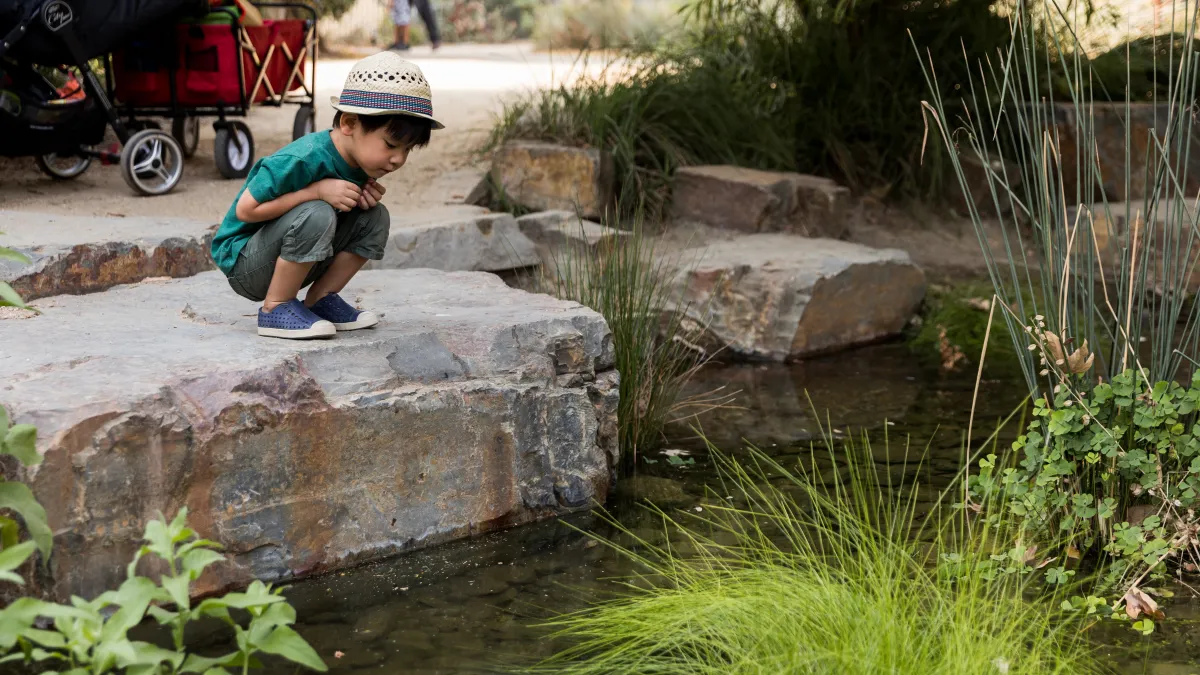 The Pond | Natural History Museum