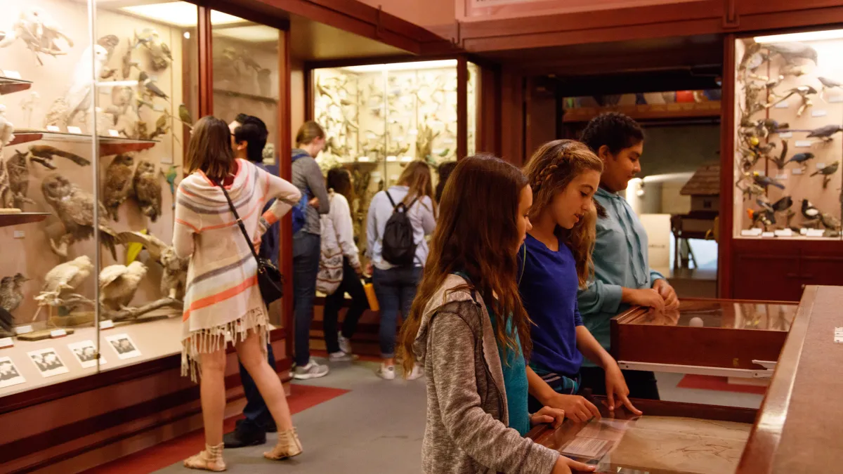 Hall of Birds | Natural History Museum