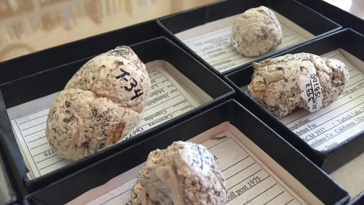 Proof In The Pooping | Natural History Museum