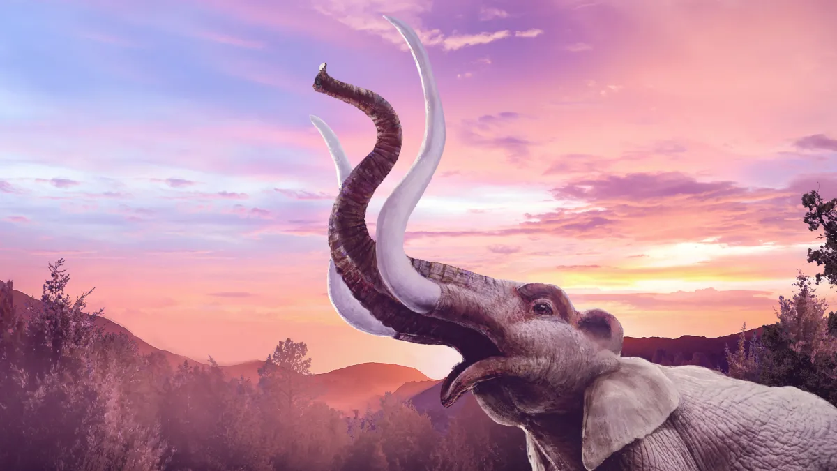 Mammoth Behavior | Natural History Museum