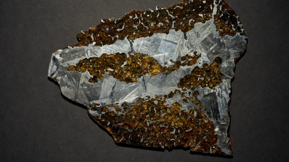 Behold! These Are Really Old! | Natural History Museum