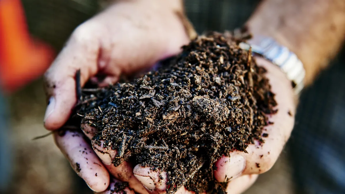Know Your Compost | Natural History Museum