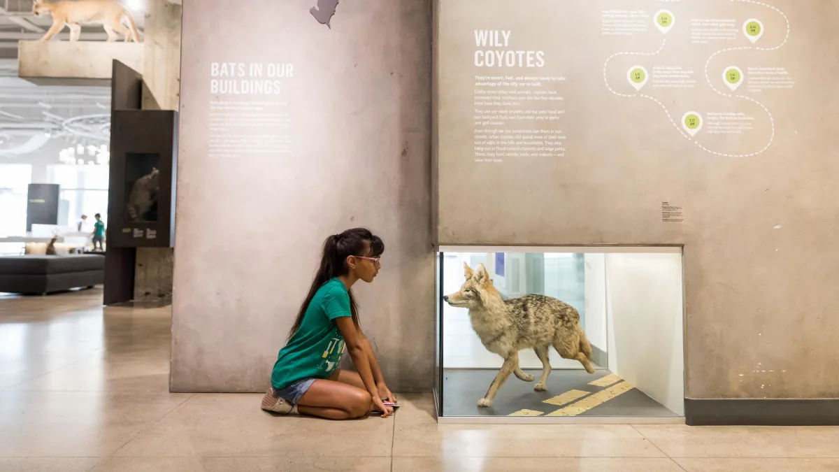 Nature Lab | Natural History Museum