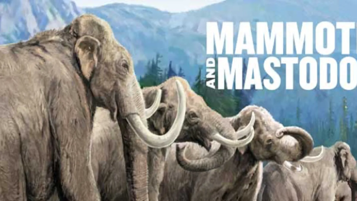 Mammoths and Mastodons | Natural History Museum