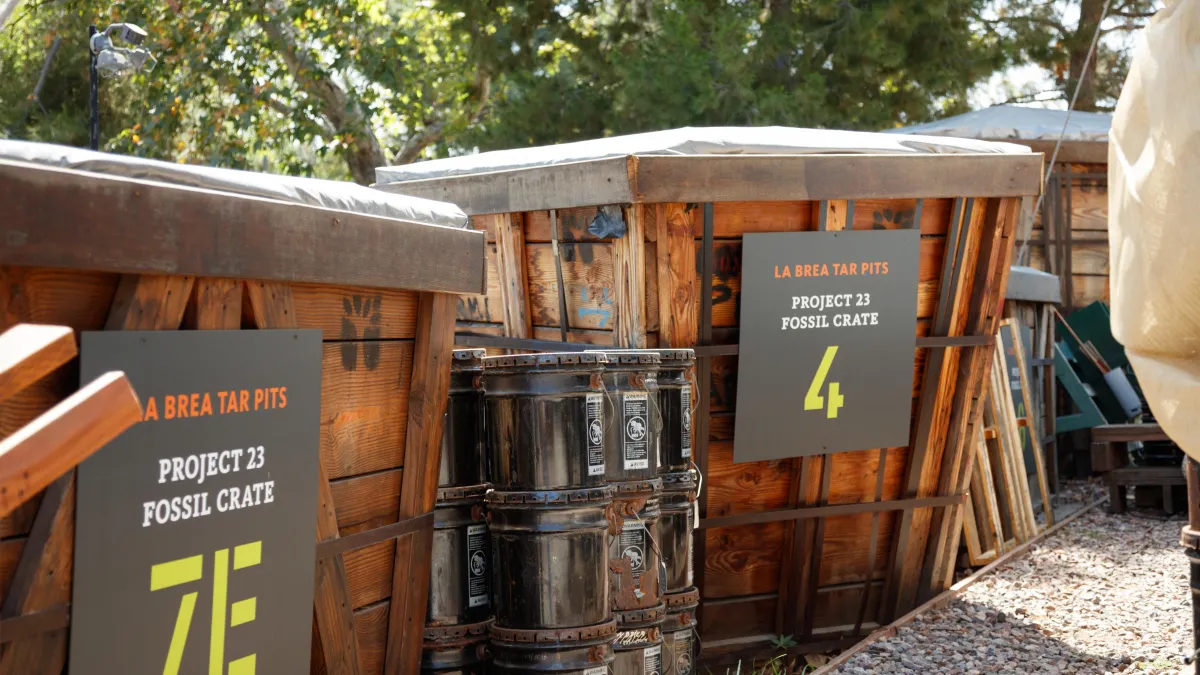 Our Rich Digs | Natural History Museum