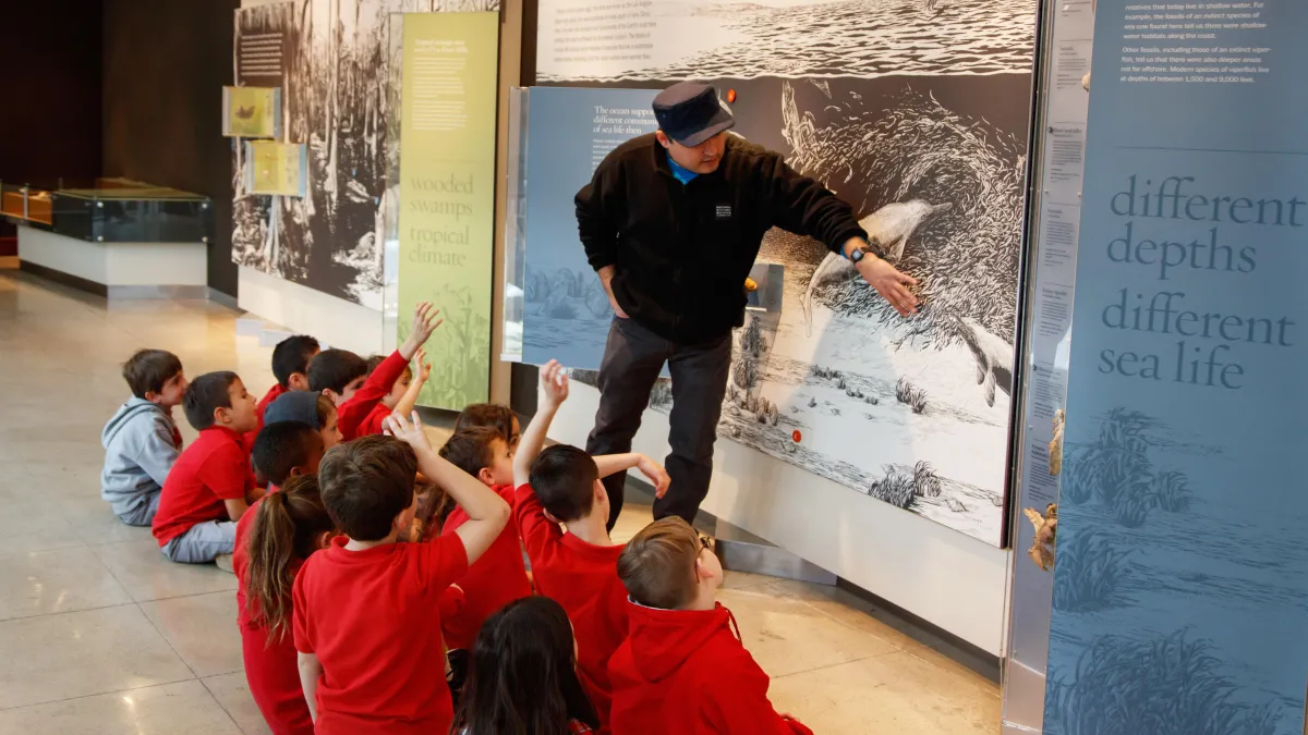 Field Trip Activities and Lesson Plans | Natural History Museum