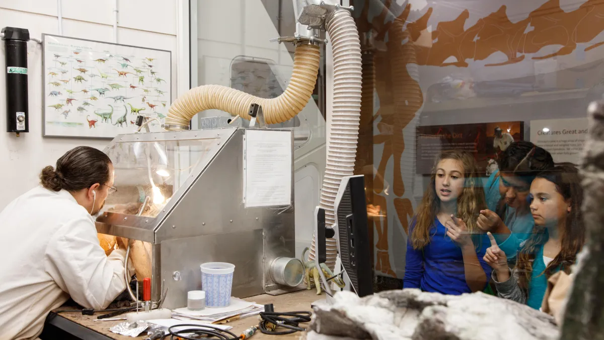 Dinosaur Lab | Natural History Museum