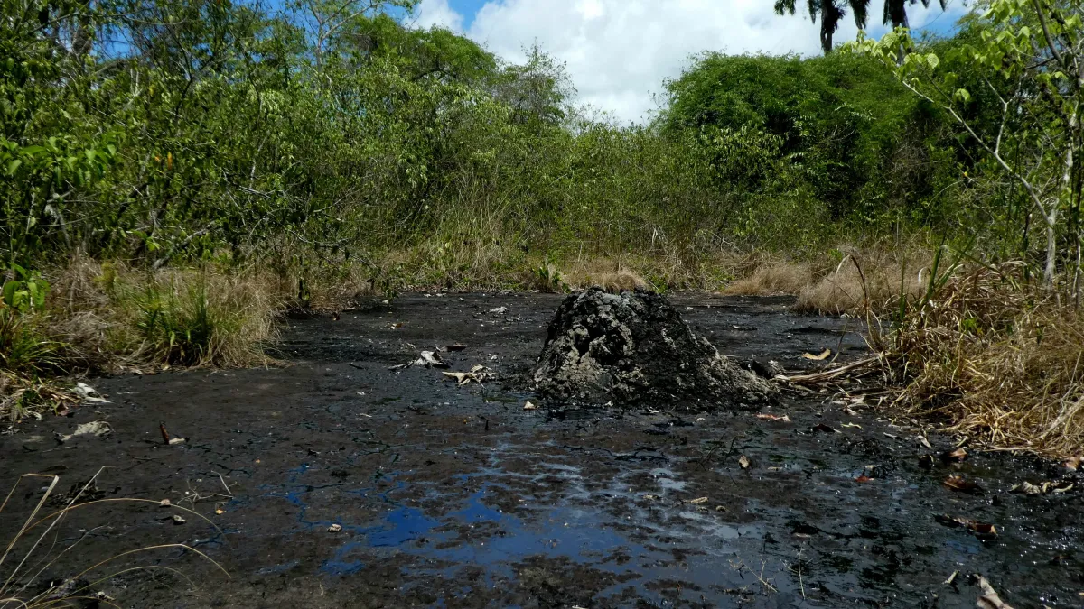 Tar Pits of the World | Natural History Museum