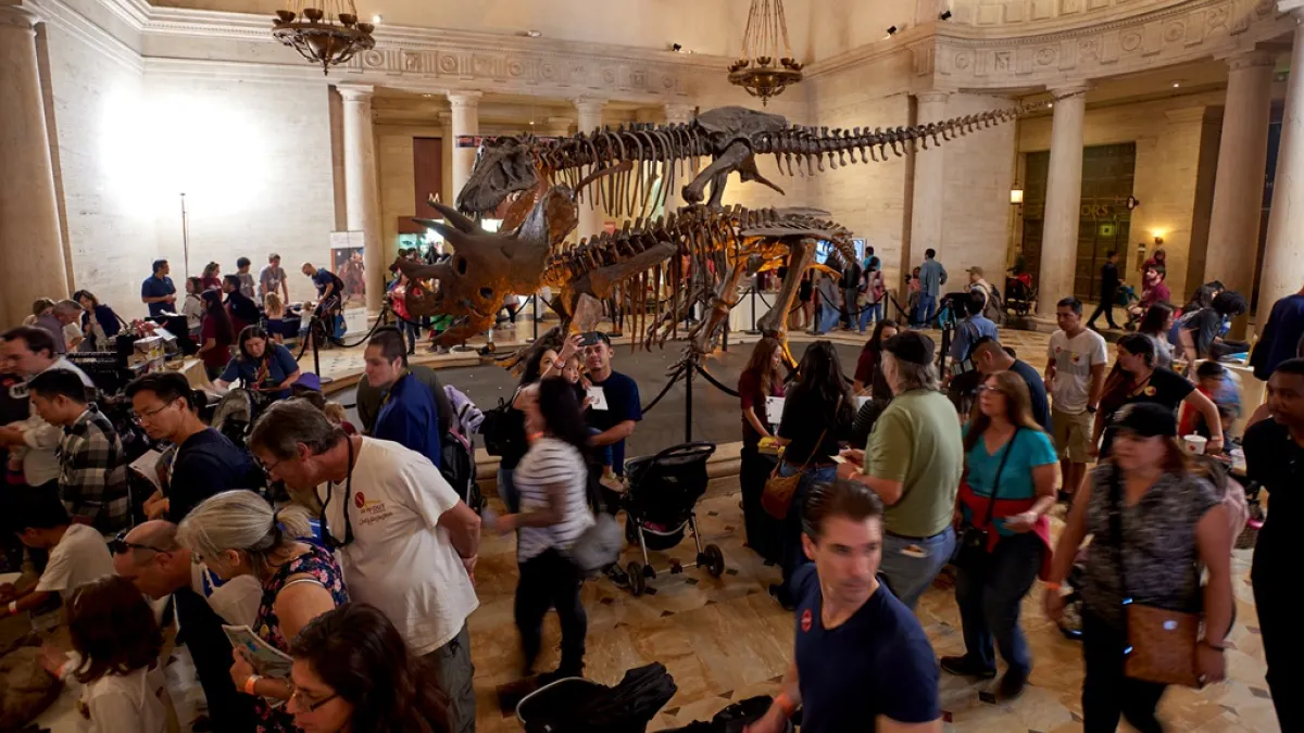 Dino Fest | nhm