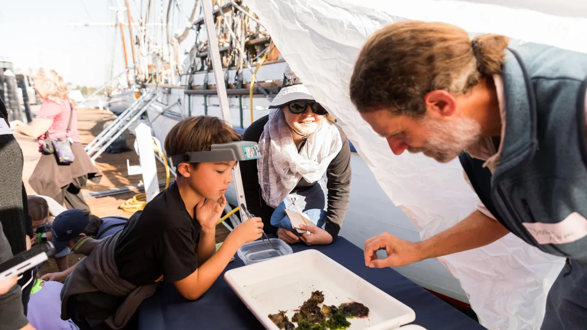 L.A. Urban Ocean Expedition: Explore the Expedition | Natural History ...