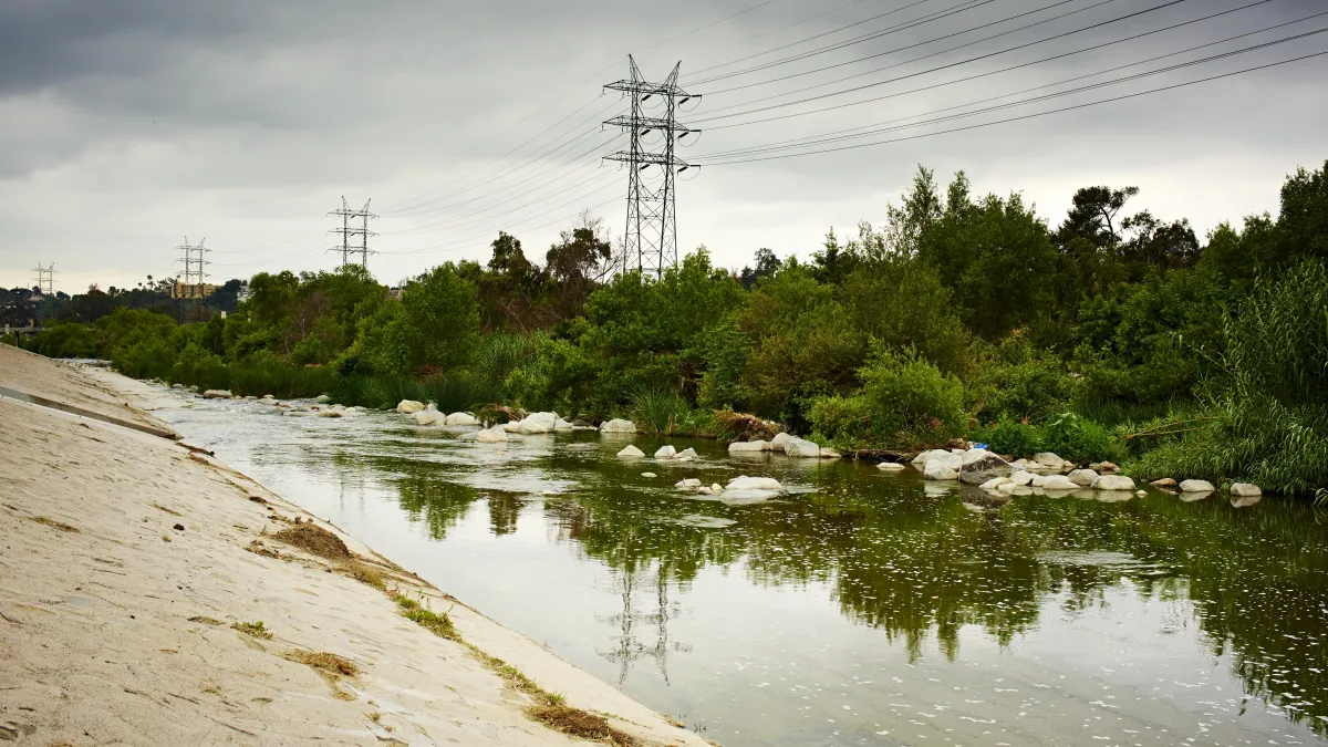 Wild L.A. Field Trip: L.A. River | Natural History Museum