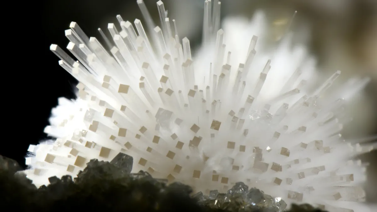 Mineral Sciences | Natural History Museum