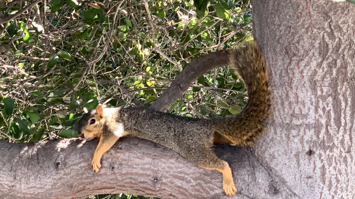 Summer in September | Natural History Museum