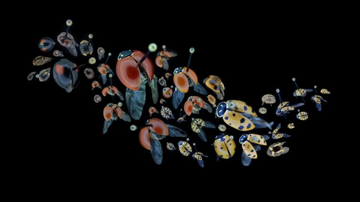 Doing Science Better, Together | Natural History Museum