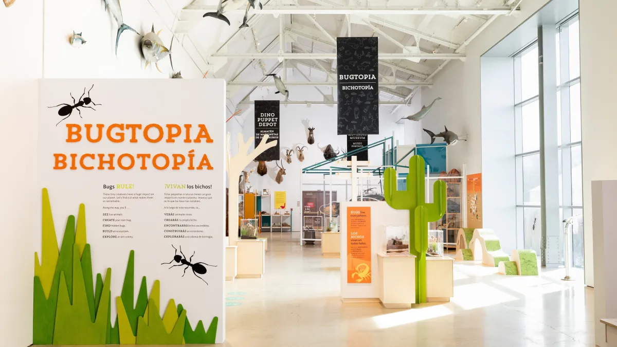 Bugtopia | Natural History Museum