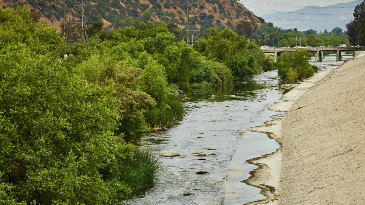Take a Trip To The L.A. River | Natural History Museum