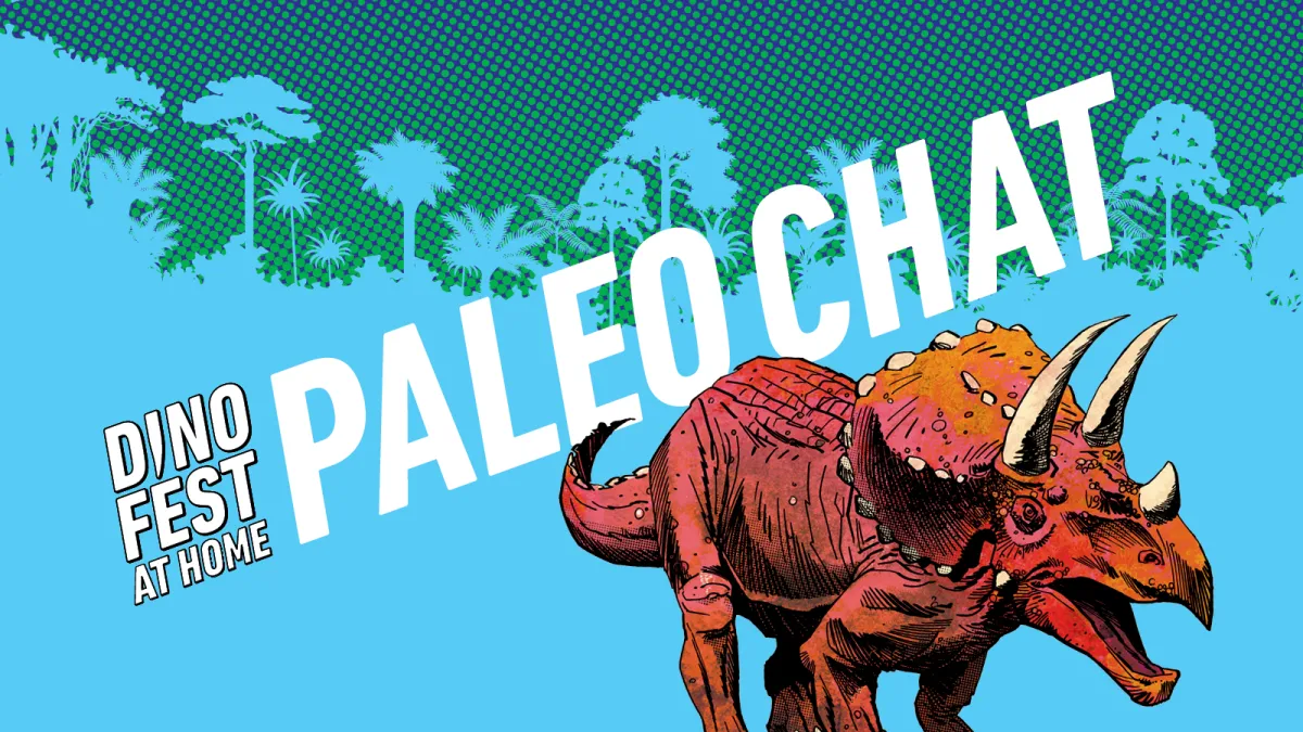Paleo Chat | Natural History Museum