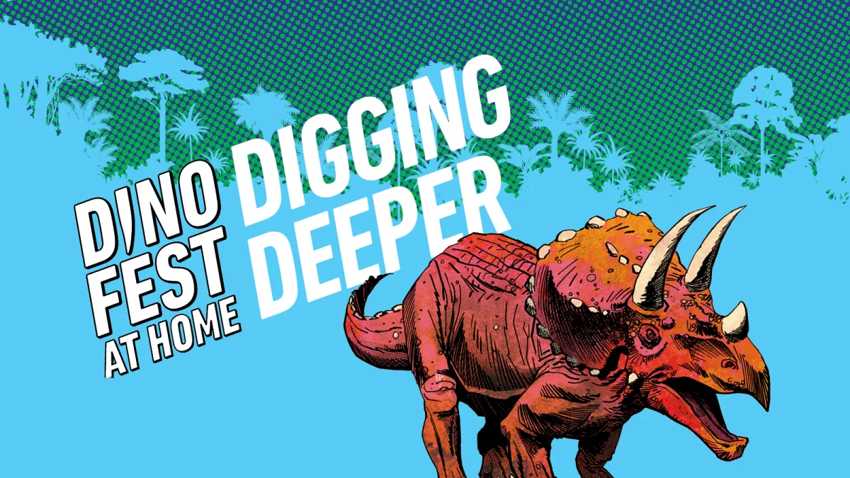 Digging Deeper Dino Discussion | Natural History Museum