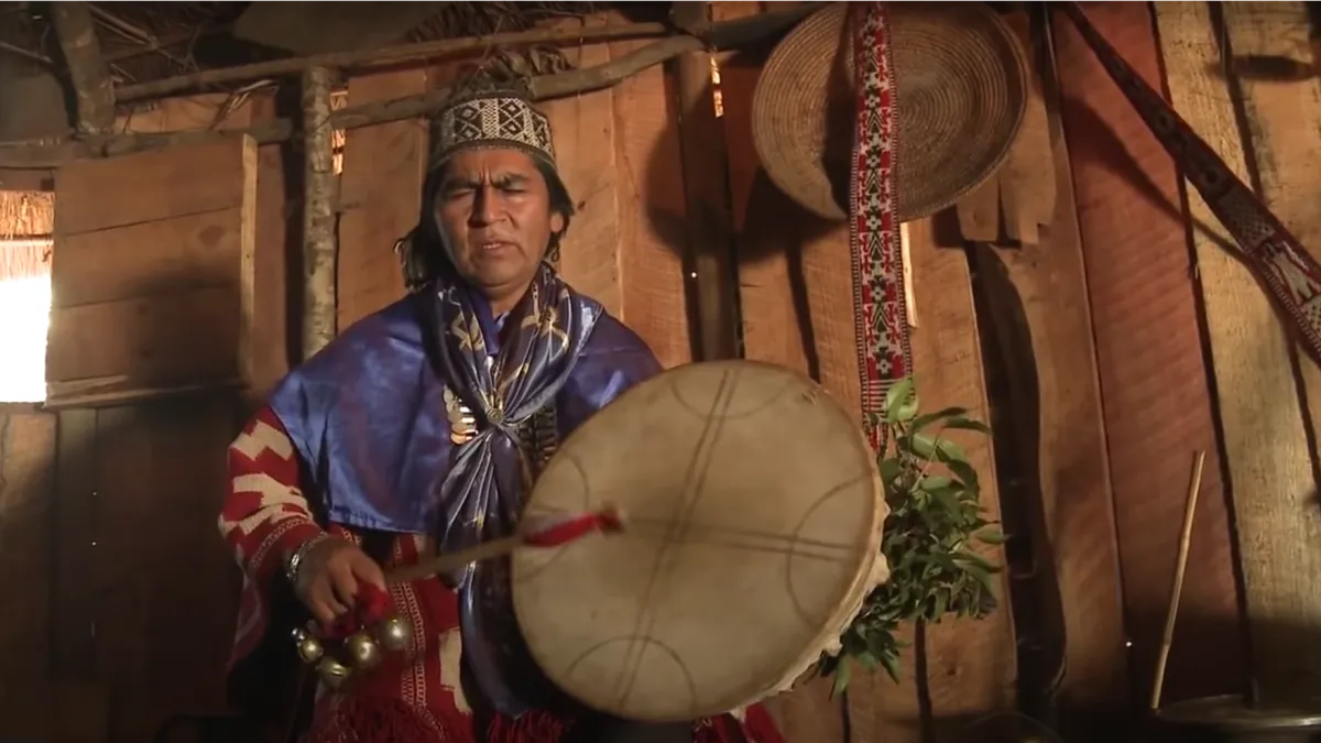 Beyond Gender: Indigenous Perspectives, Mapuche | Natural History Museum