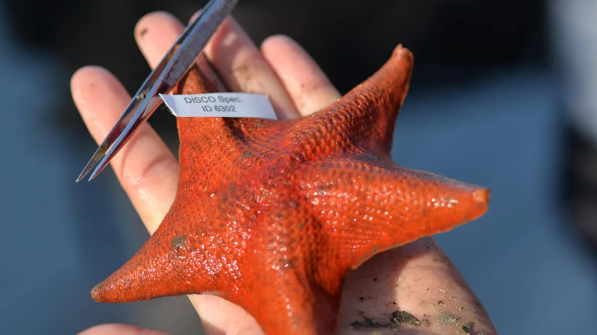 Liquid Libraries | Natural History Museum