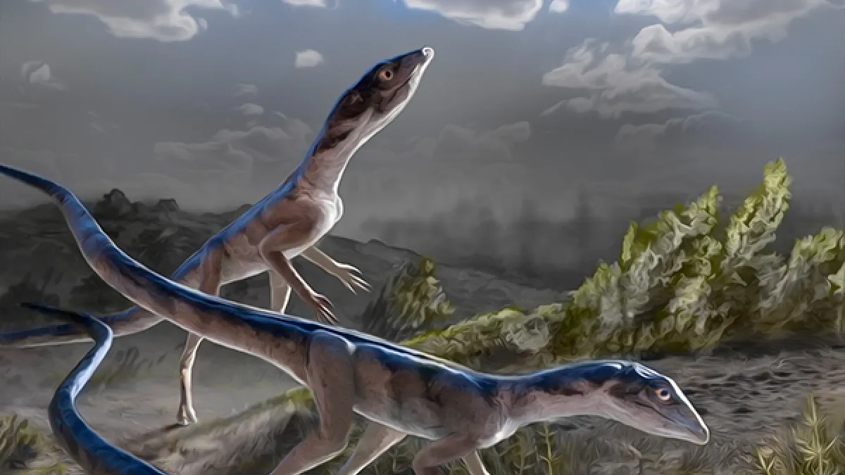 Dig Deeper Into Pterosaurs' Evolutionary Flight Path | Natural History ...