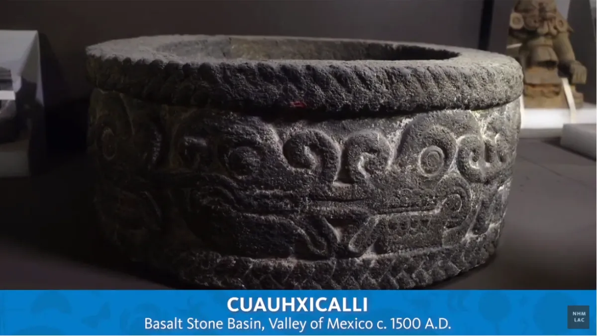 Undead Warrior Hummingbirds: Aztec Symbols of Rebirth | Natural History ...