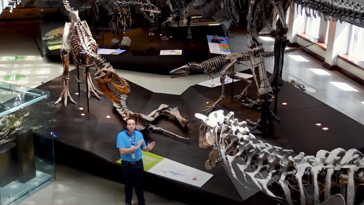 Ancient Swamp Dwellers: Fossils and Changing Environments | Natural ...