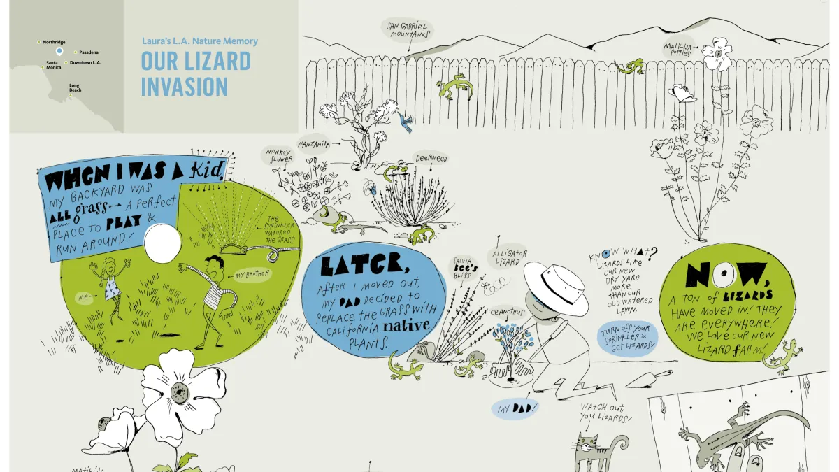 Nature Memory Mapping | Natural History Museum