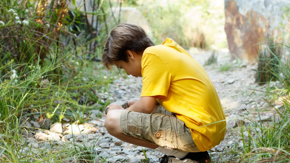 How To: Set up an Animal Track Station | Natural History Museum