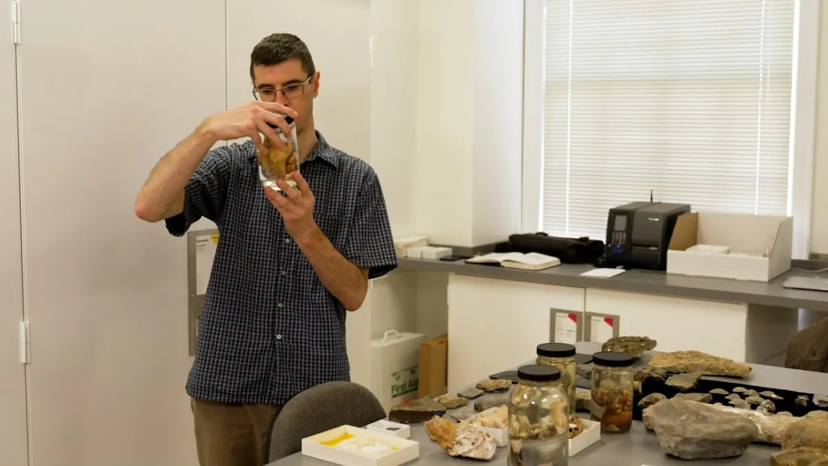 Science of SpongeBob: Ancient Bikini Bottom | Natural History Museum