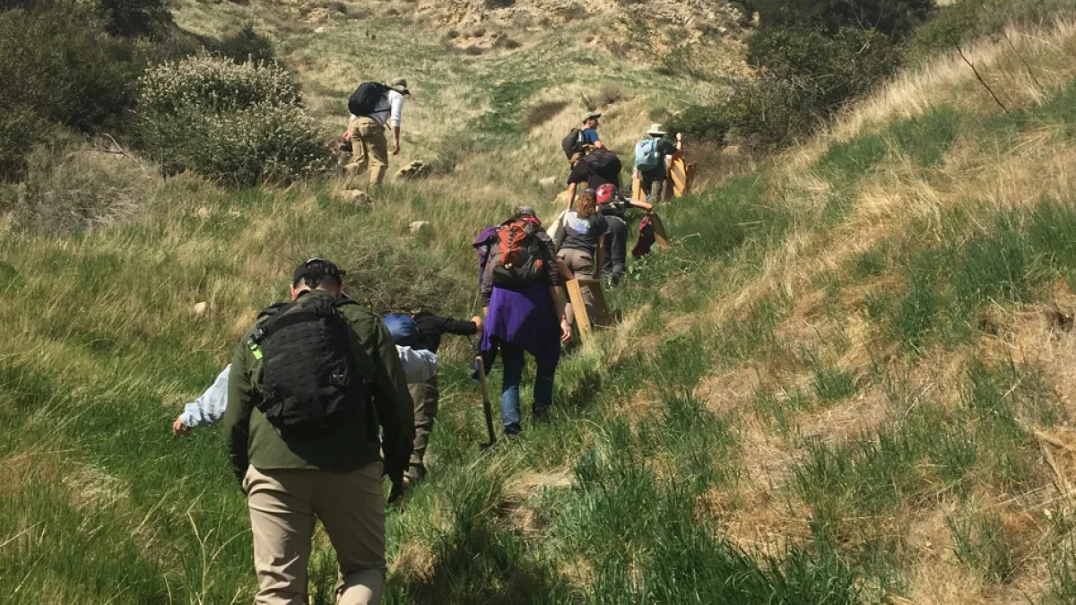 The Great Shark Hunt | Natural History Museum