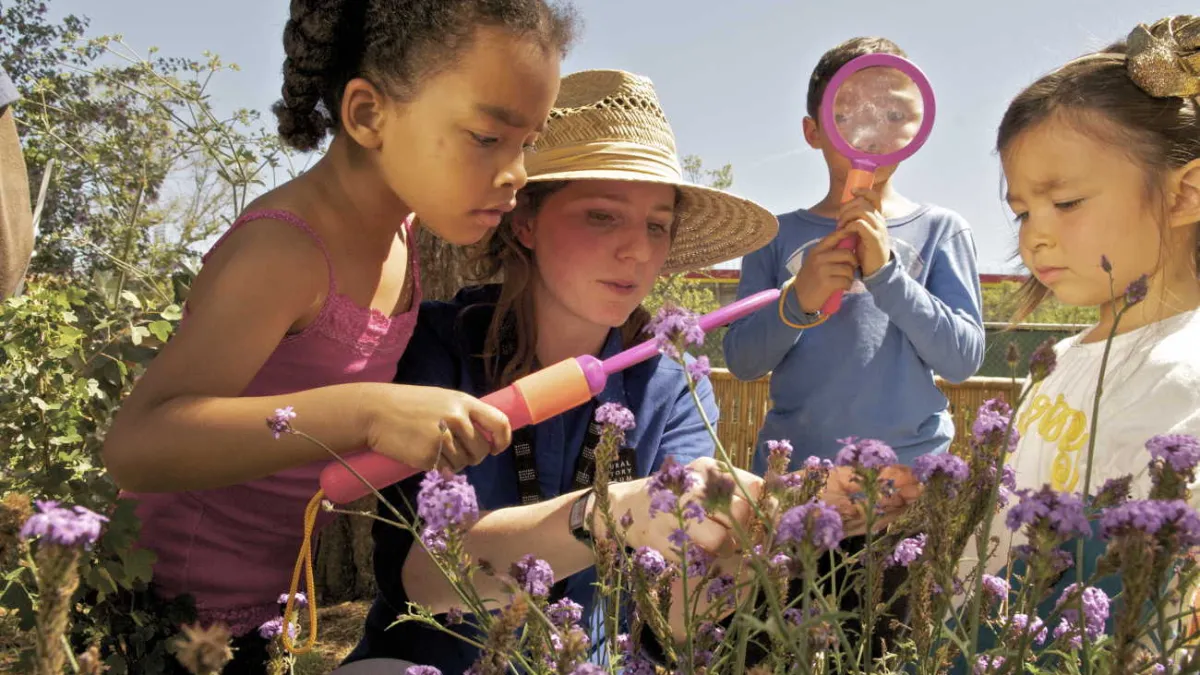 Planting Seeds: Social-Emotional Learning in the Outdoor Classroom with ...