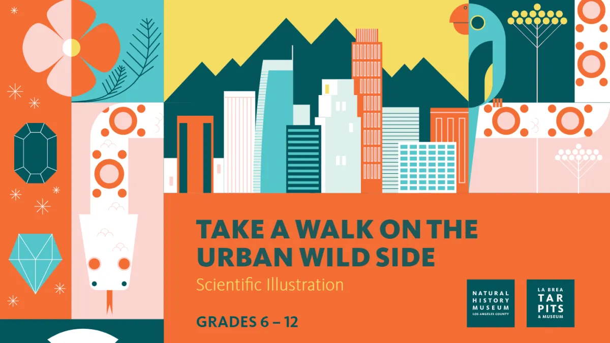 Take a Walk on the Urban Wild Side: Scientific Illustration | Natural ...
