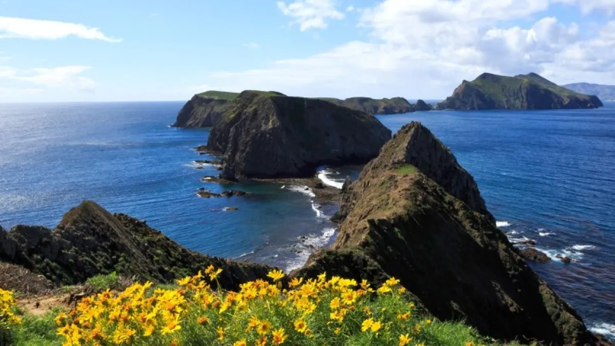 Off to Anacapa! | Natural History Museum