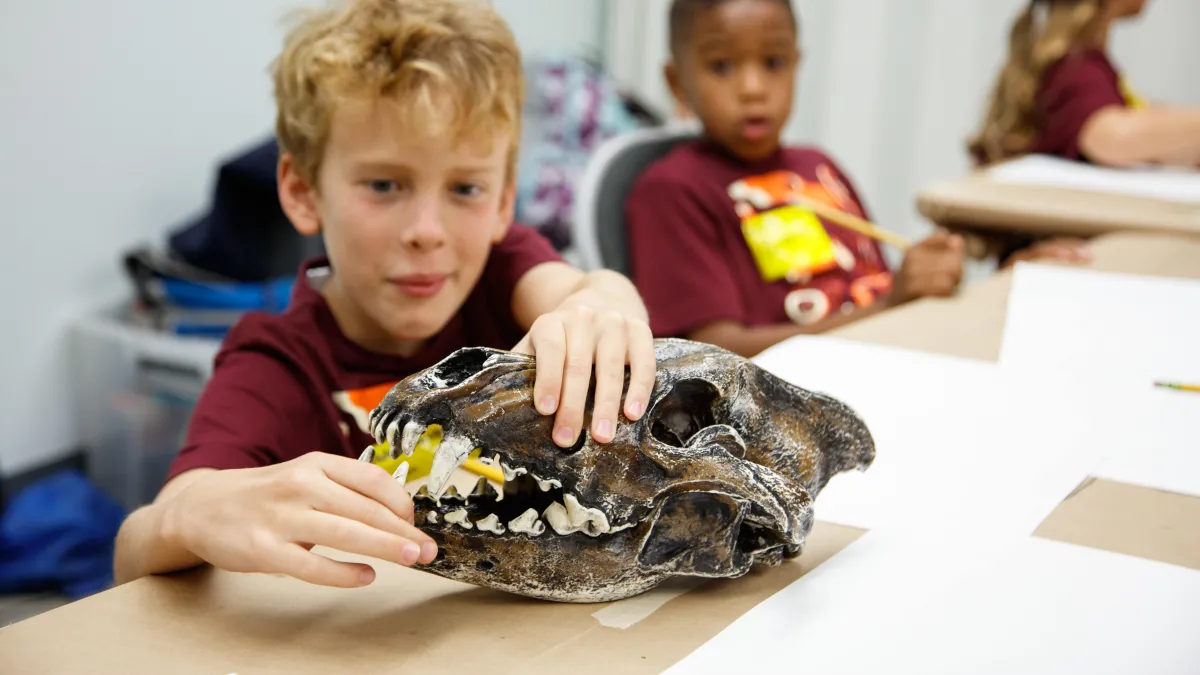 Adventures in Nature Day Camp: Fantastic Fossils and Where to Find Them ...
