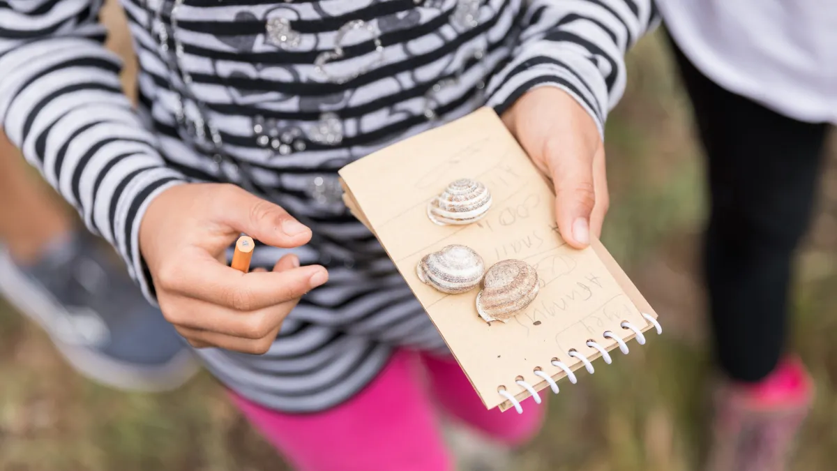 Create Your Own Field Journal | Natural History Museum