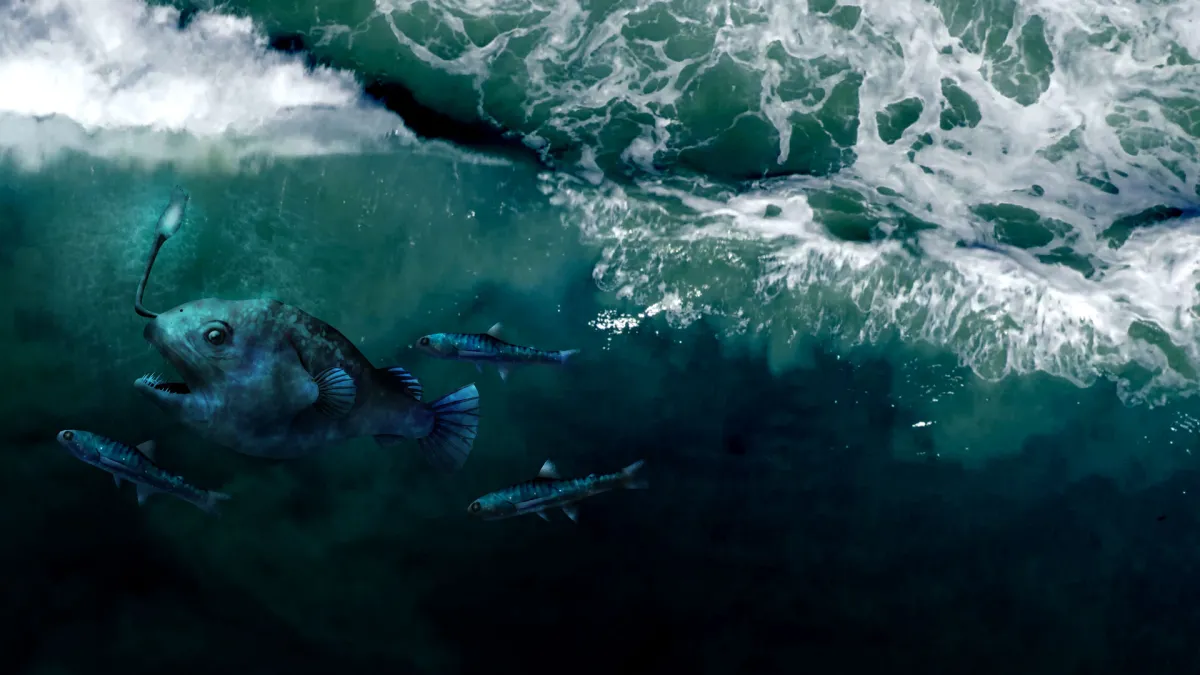 Teachable Moments: Los Angeles Underwater | Natural History Museum