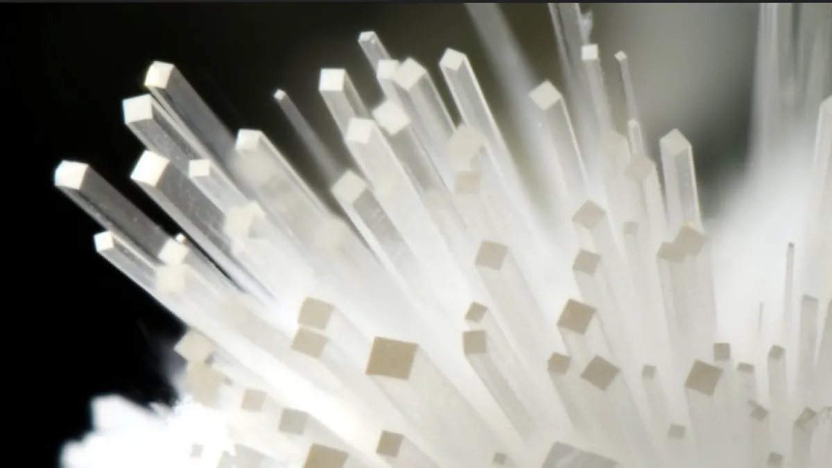 The Secret Power of Zeolite | Natural History Museum