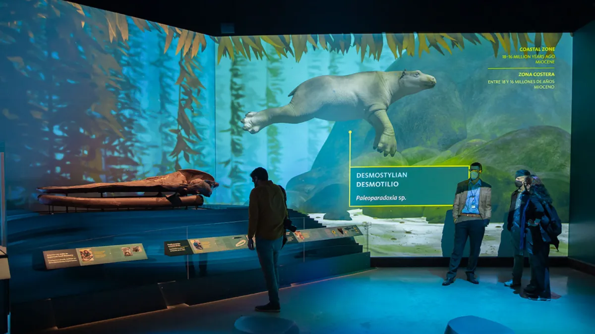 Los Angeles Underwater Scavenger Hunt | Natural History Museum