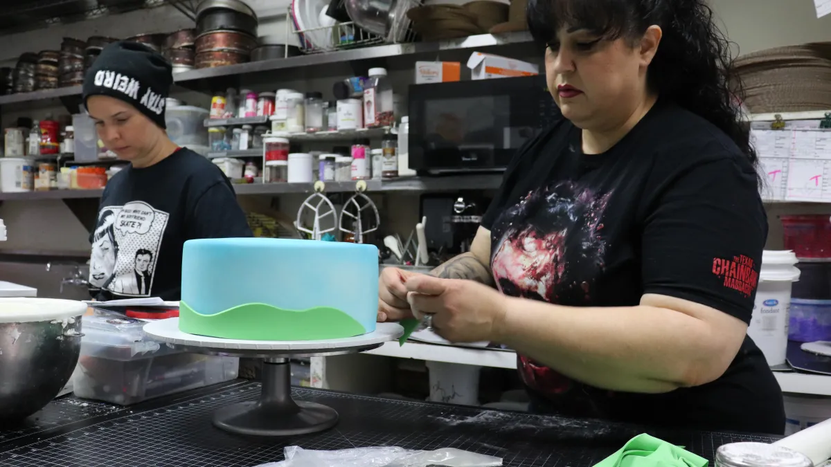 Cakes Made With Pride | Natural History Museum