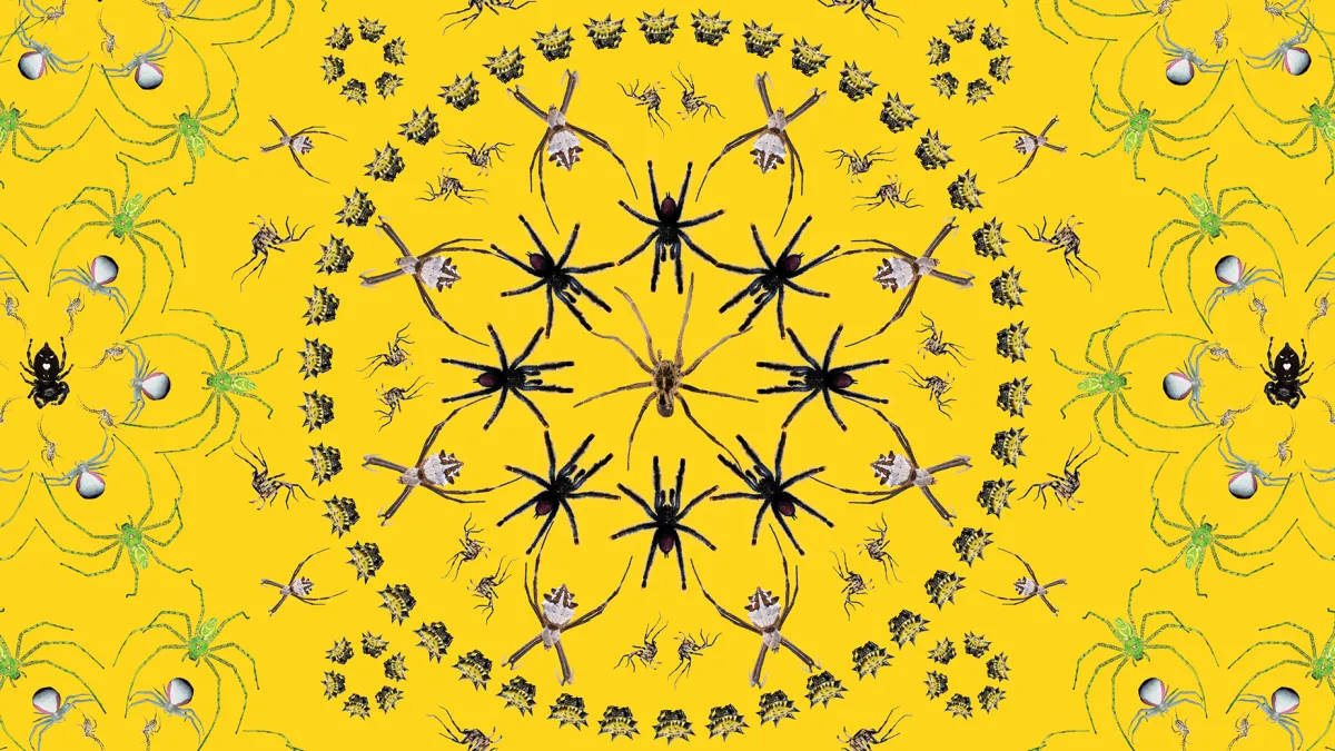 Spider Pavilion | Natural History Museum