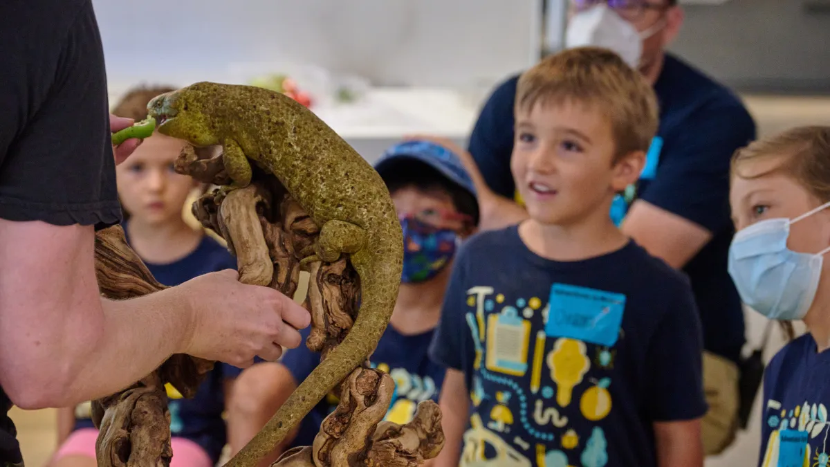 Adventures in Nature | Natural History Museum